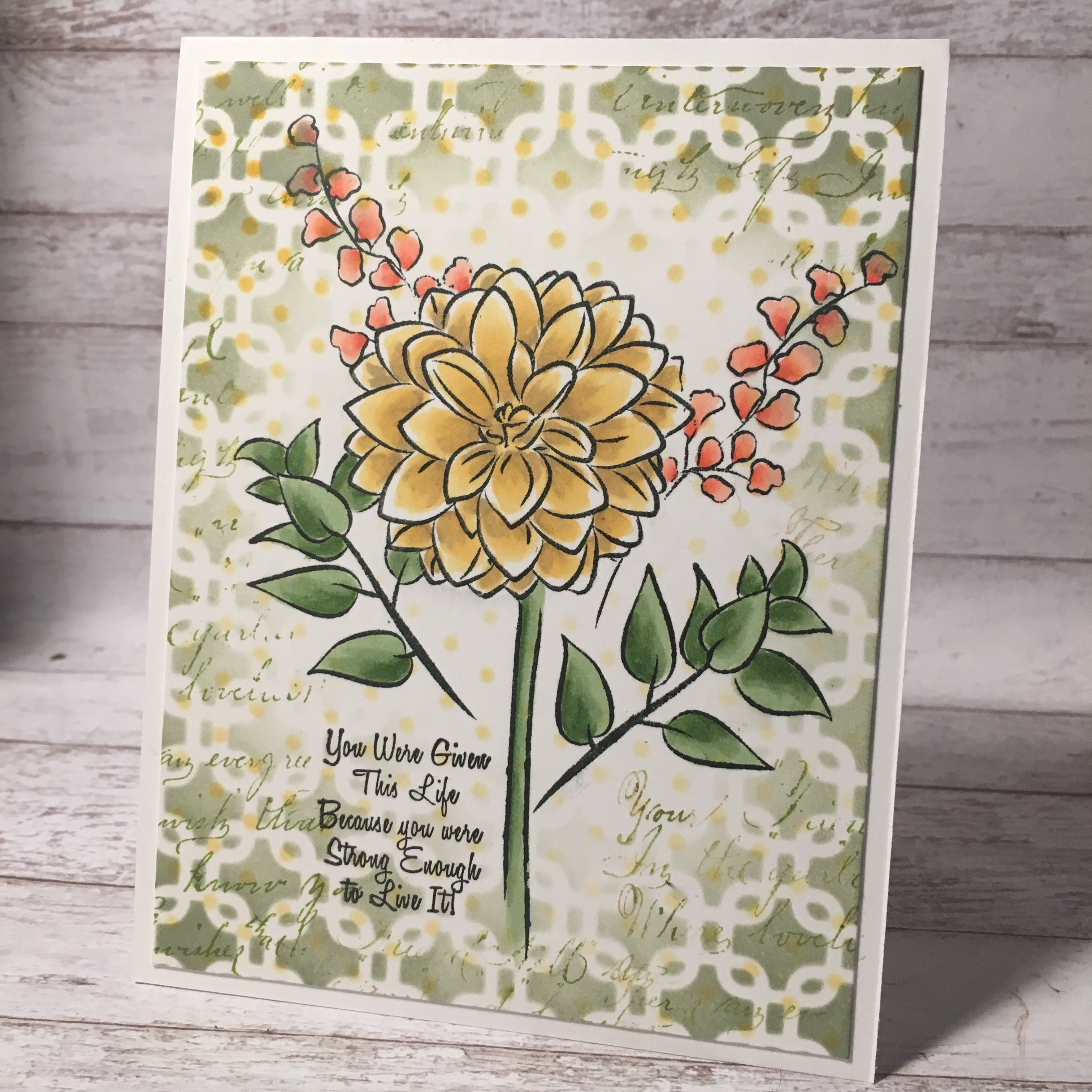 Monday Morning Madness – ekgorman designs