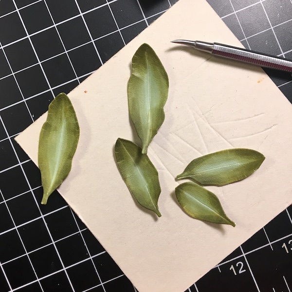Plant Dreams – ekgorman designs