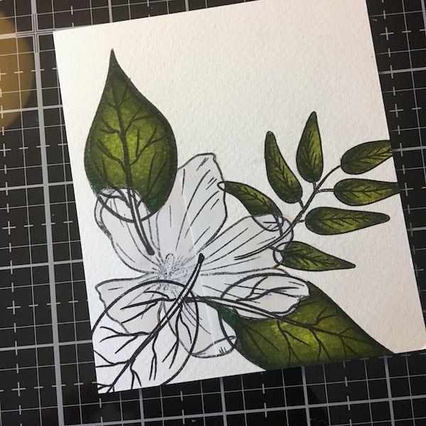 An Exciting New Release from ECD – ekgorman designs